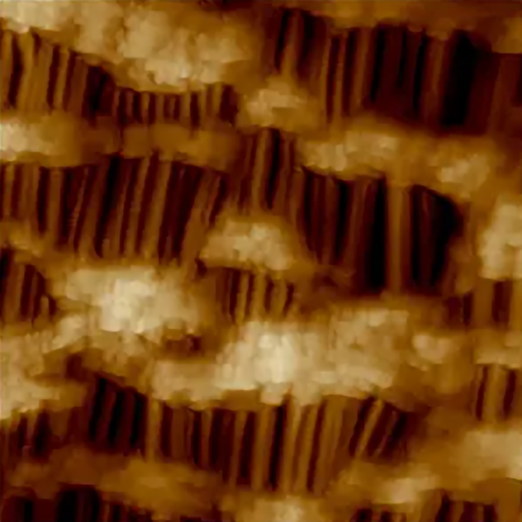 BioAFM Applications Gallery: Nanoscience | Bruker