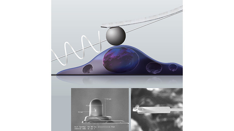 CellMech Package | Bruker