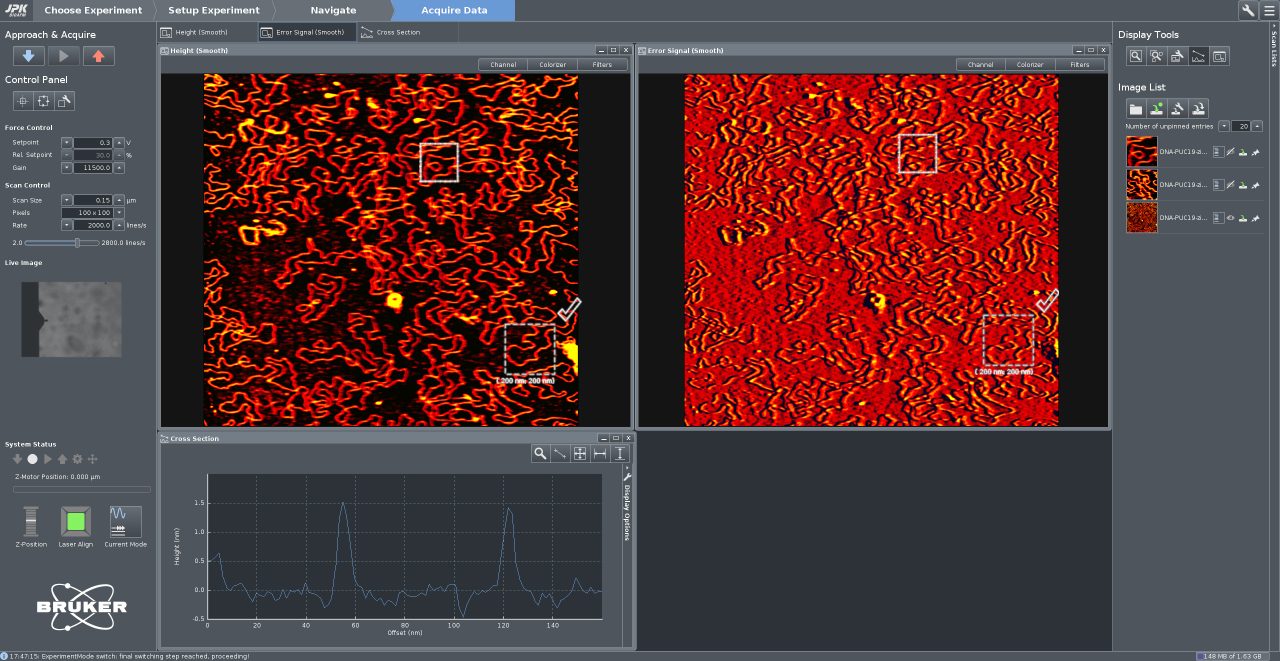 JPK NanoRacer High-Speed AFM | Bruker