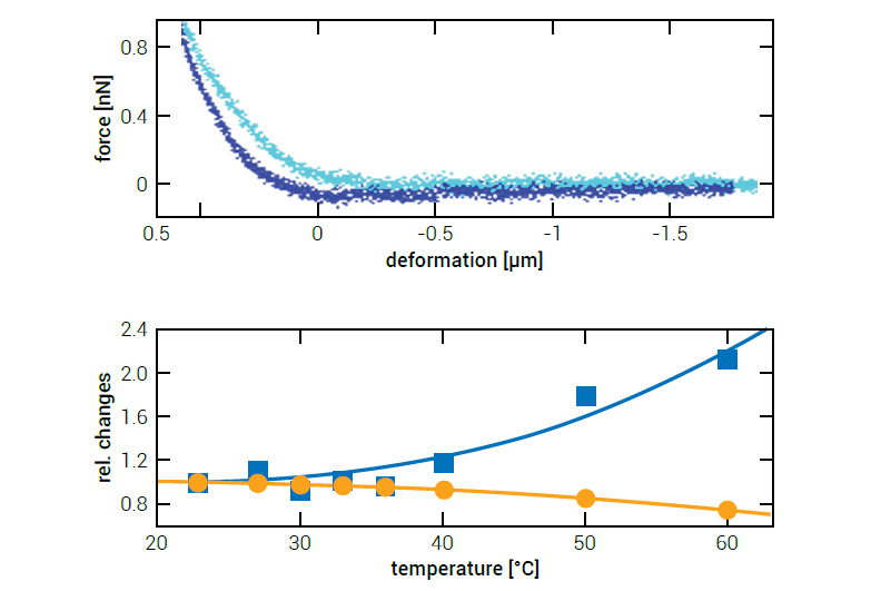 JPK NanoWizard V BioScience AFM | Bruker