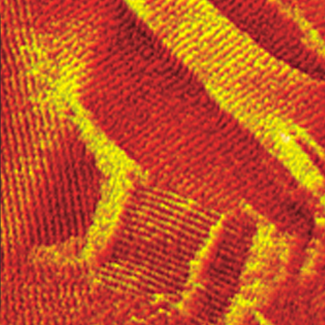 Dimension Icon AFM | Bruker