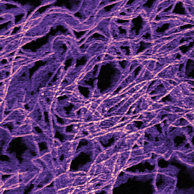 MultiMode 8-HR AFM | Bruker