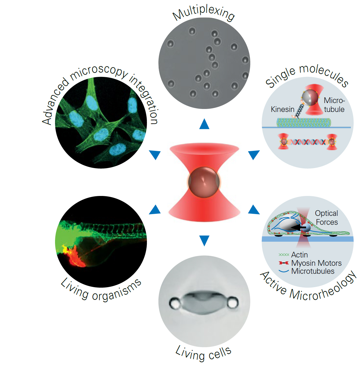 JPK NanoTracker 2 | Bruker