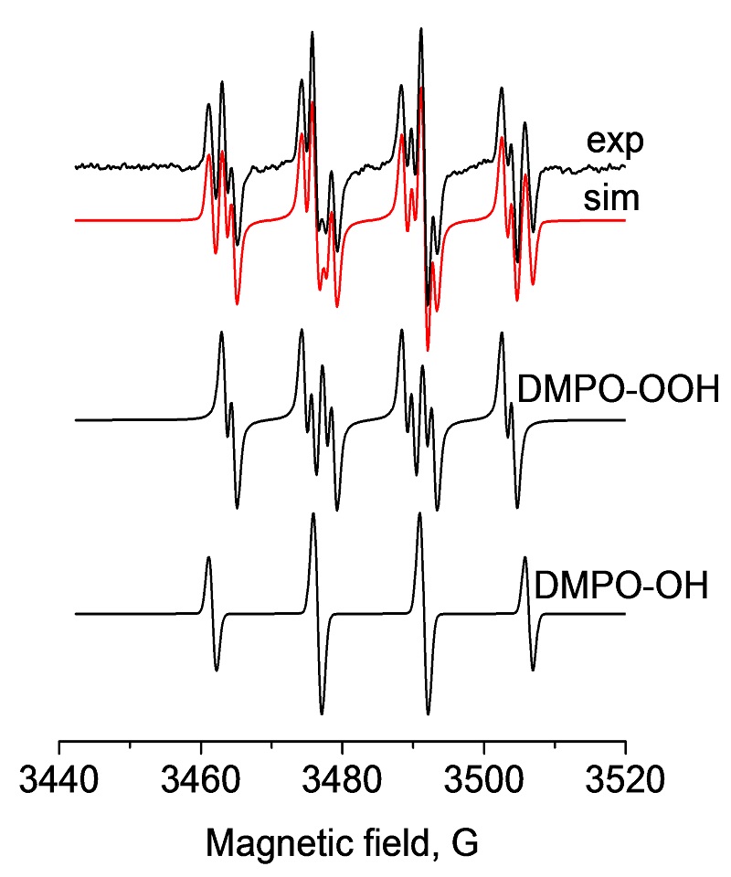EPR in Life Science | Bruker