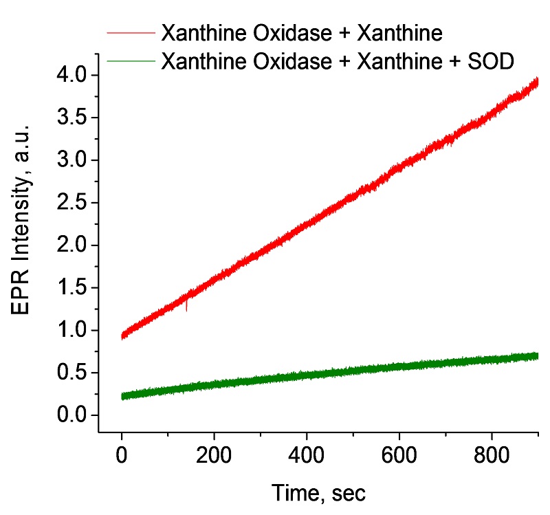EPR in Life Science | Bruker