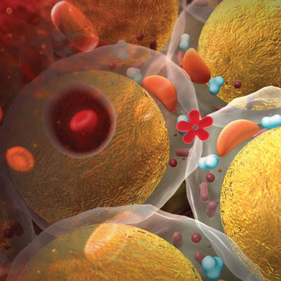 EPR in Life Science | Bruker