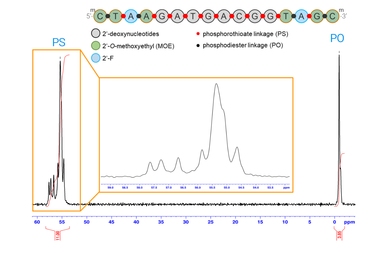 NMR characterization of oligonucleotides and peptides | Bruker