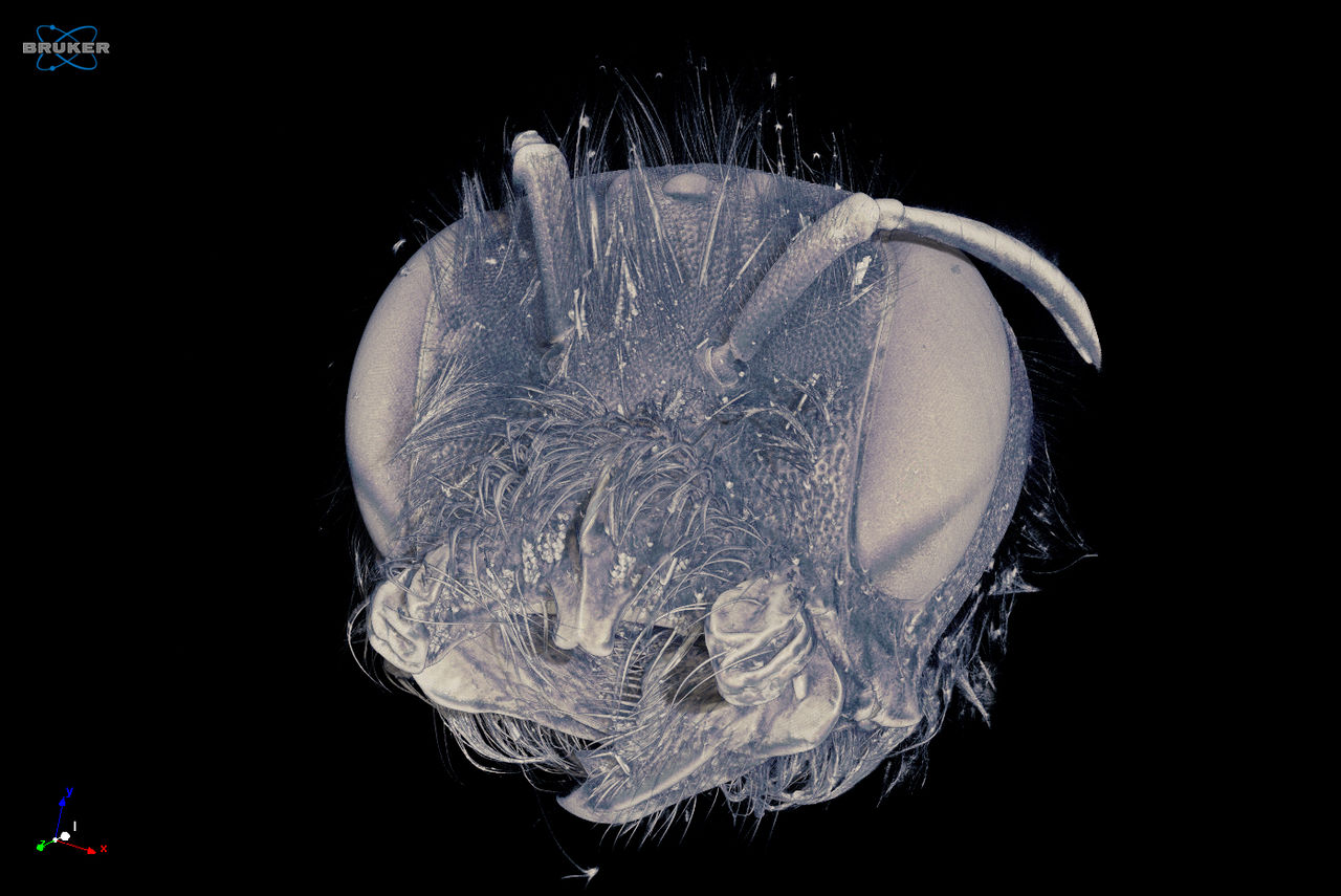 Nanoscale 3D X-ray Microscopy | Solutions | Bruker