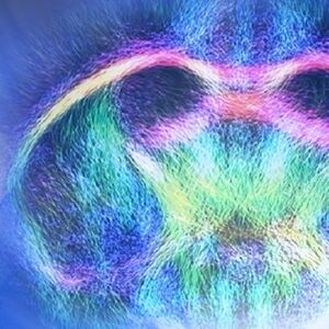 Preclinical MRI | Magnetic Resonance Imaging | Research | Bruker