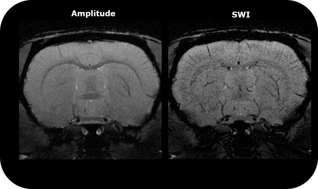 PharmaScan | MRI Ultra-shielded Technology | Bruker