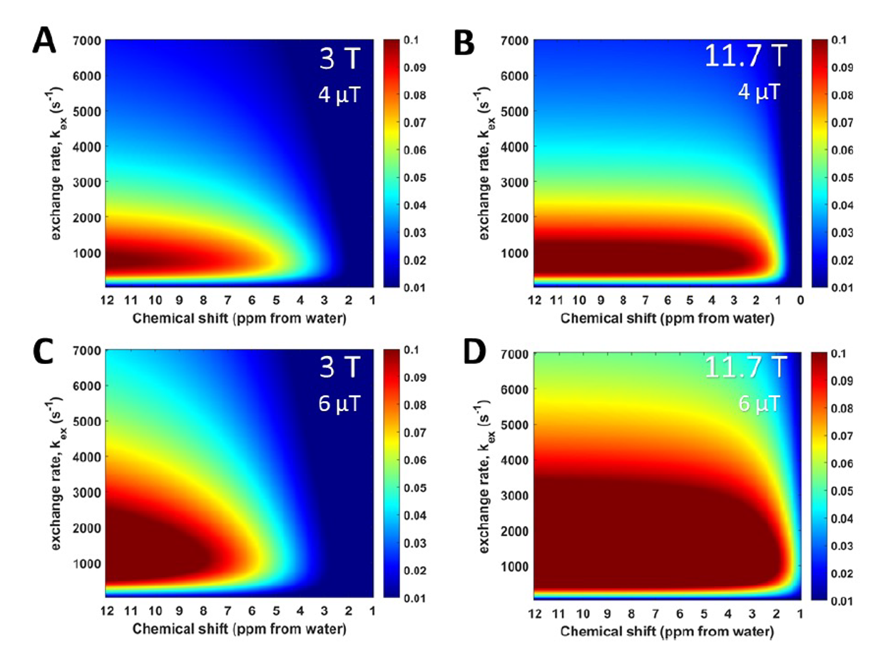 Ultra-High Field MRI | UHF MRI System | Manufacturer | Bruker