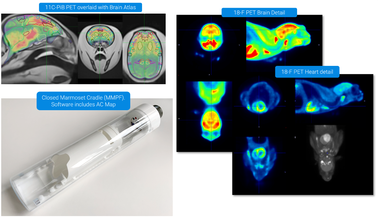 PET/CT | PET System | Preclincal CT | Total Body | Bruker