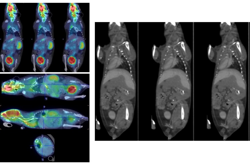 PET/CT | PET System | Preclincal CT | Total Body | Bruker