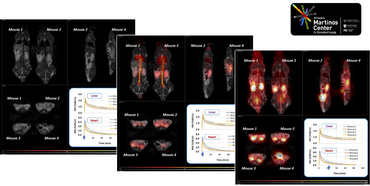 PET Insert | Positron Emission Tomography | Bruker