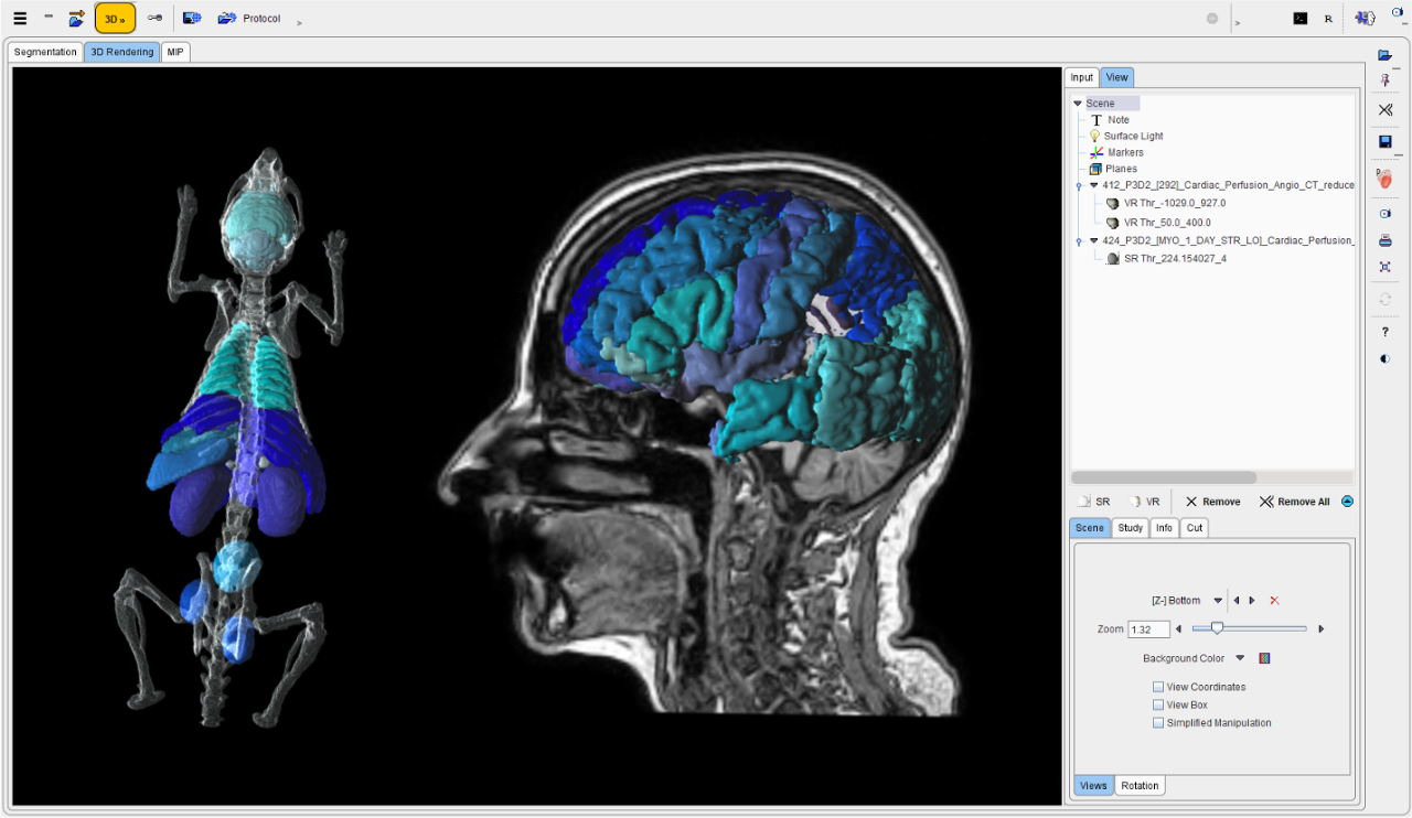 pmod Quantification Software | Bruker