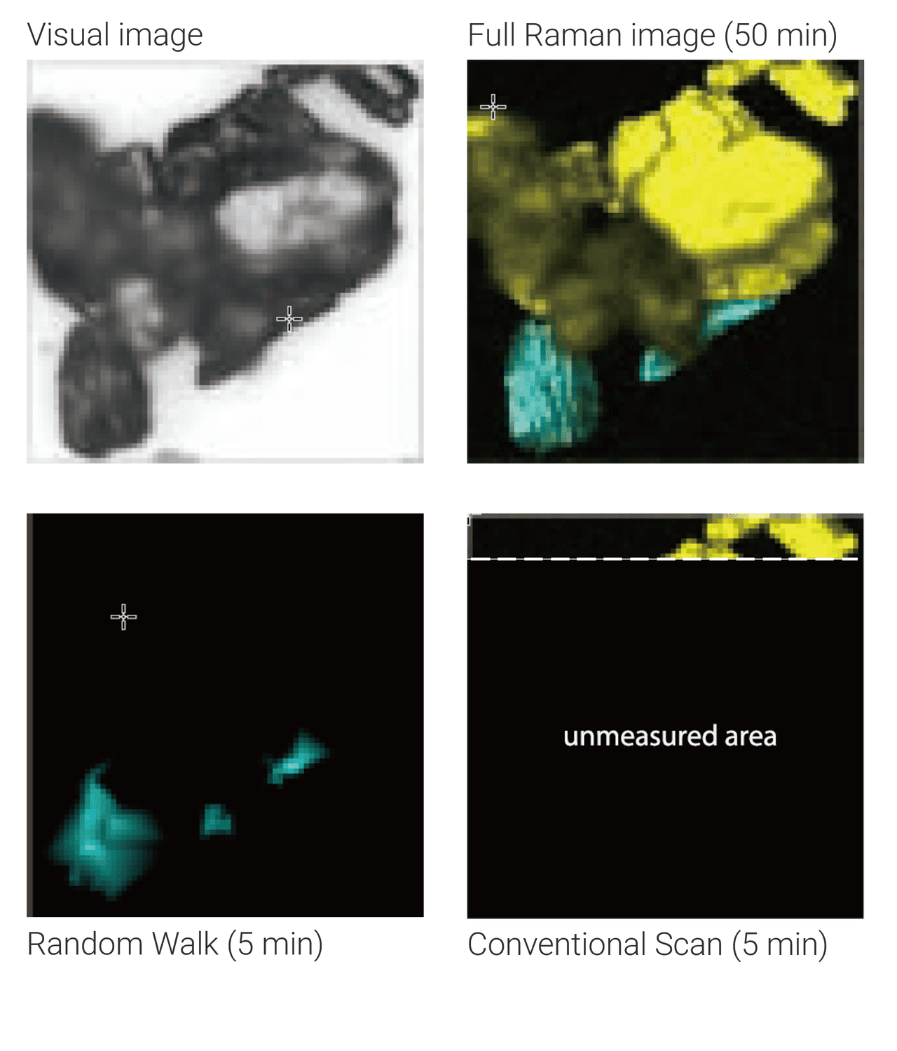 Nanophoton RAMANwalk Microscope | Bruker