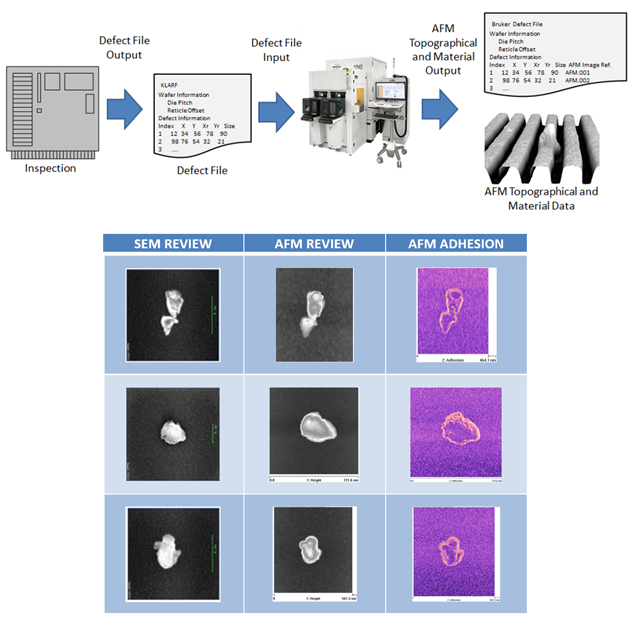 InSight AFP | Bruker