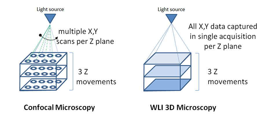 Comparing 3D Optical Microscopy Techniques for Metrology Applications ...