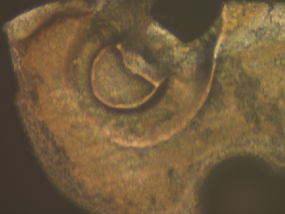 Comparing 3D Optical Microscopy Techniques for Metrology Applications ...
