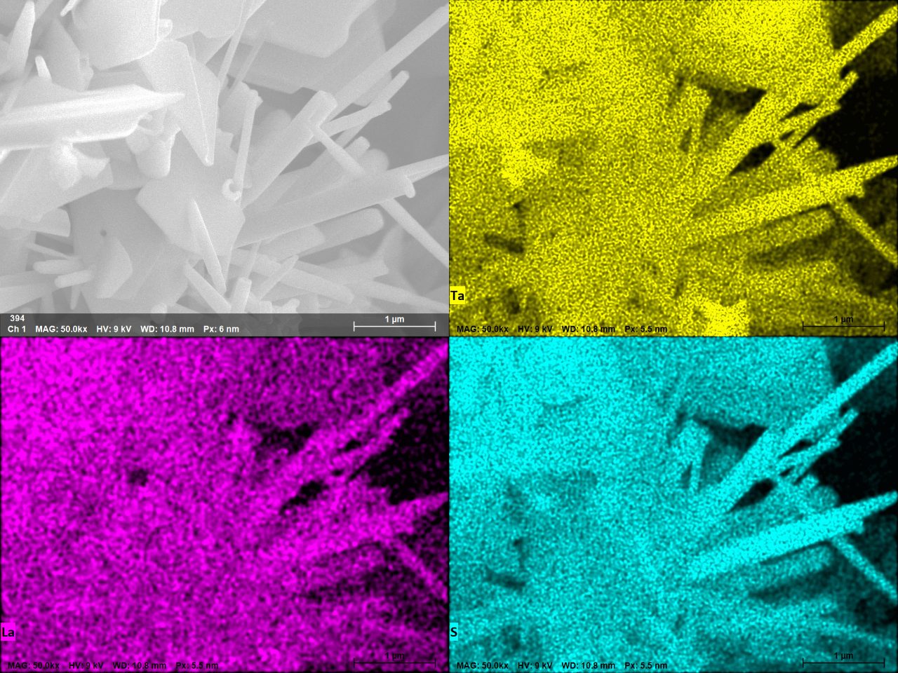 Advanced Application Examples using SEM-EDS | Bruker