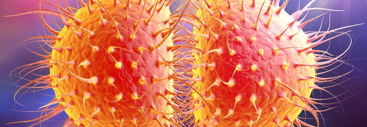 Implementing state of the art technology to characterise polysaccharide ...
