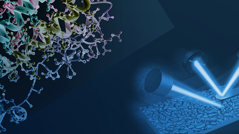 Unraveling Molecular Structure and Interactions with Single Molecule ...