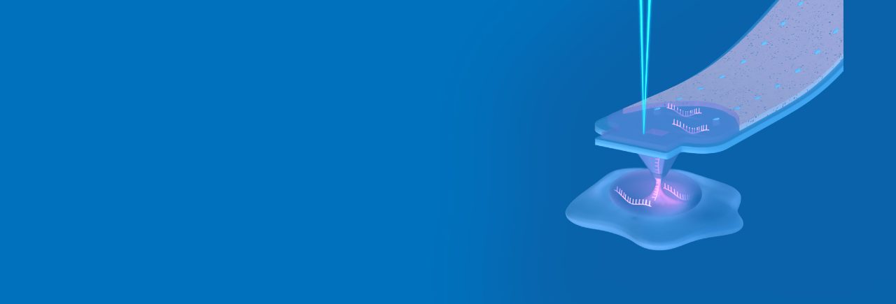 Combine BioAFM with Cytosurge FluidFM for Advanced Micro-Manipulation ...