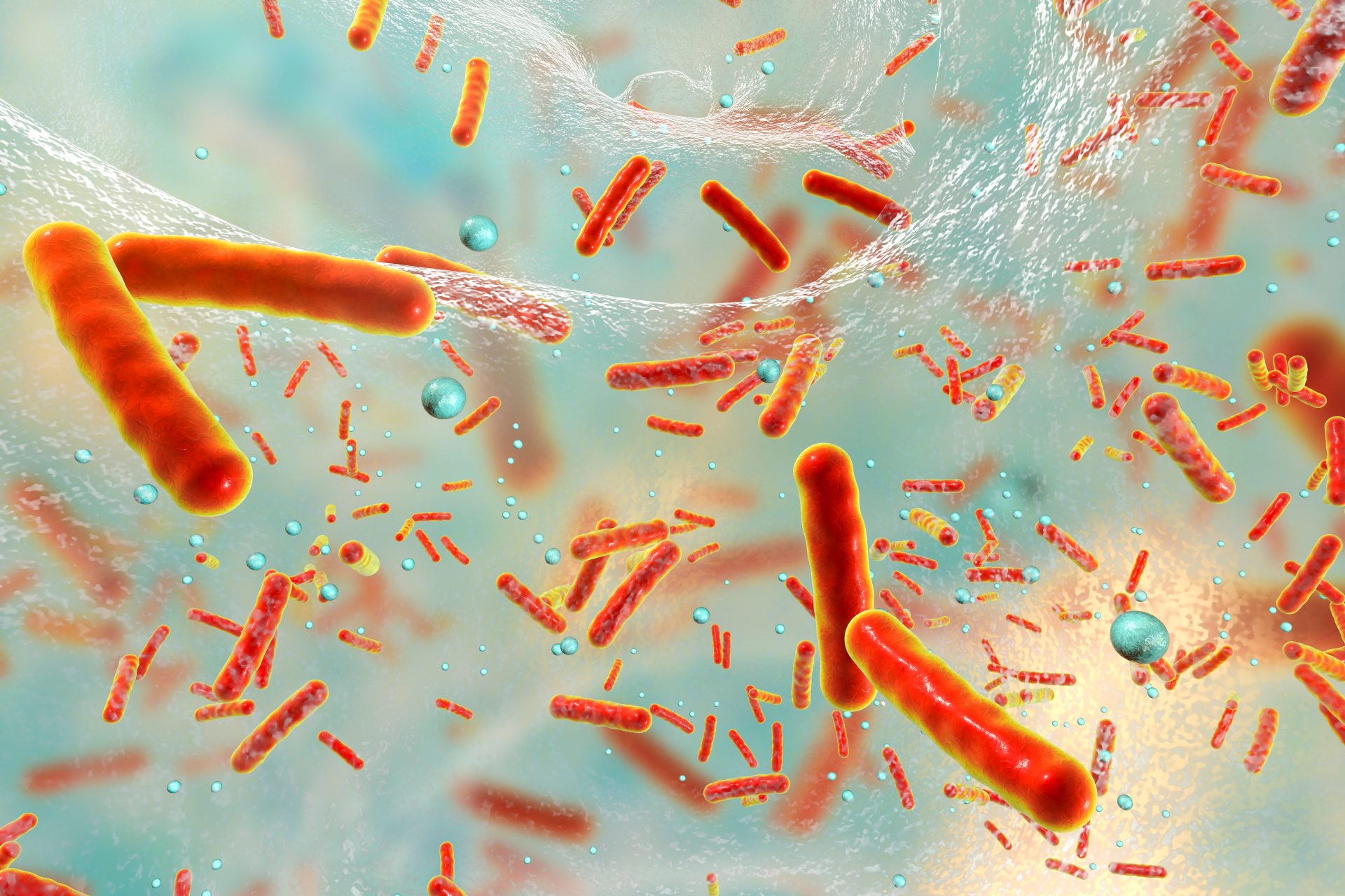 Antimicrobial Susceptibility Testing | Bruker