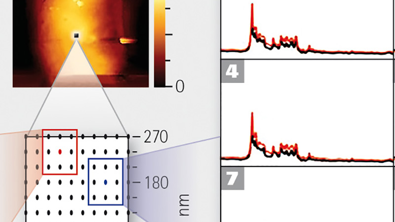BioAFM Applications Gallery: Raman, TERS, and SNOM | Bruker