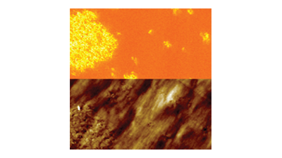 AFM Mode Chemical | Bruker