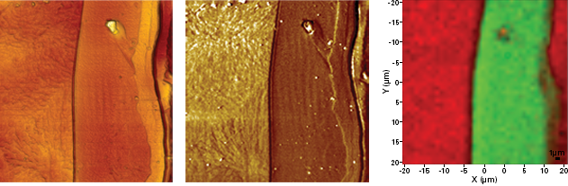 Dimension Icon-Raman AFM | Bruker