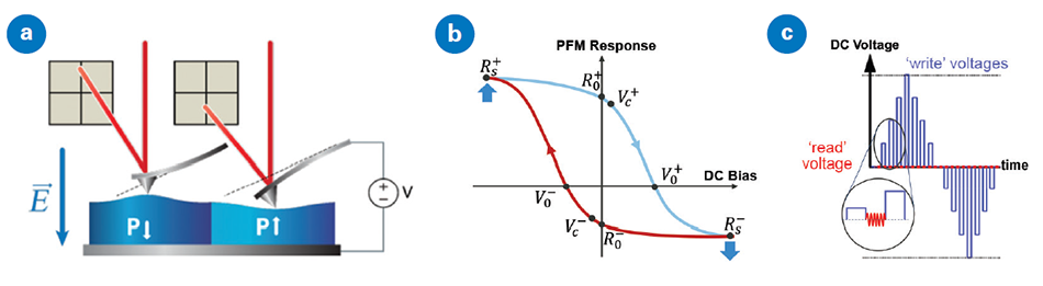 AN156 Characterizing Ferroelectric Materials with SS-PFM and DCUBE PFM ...