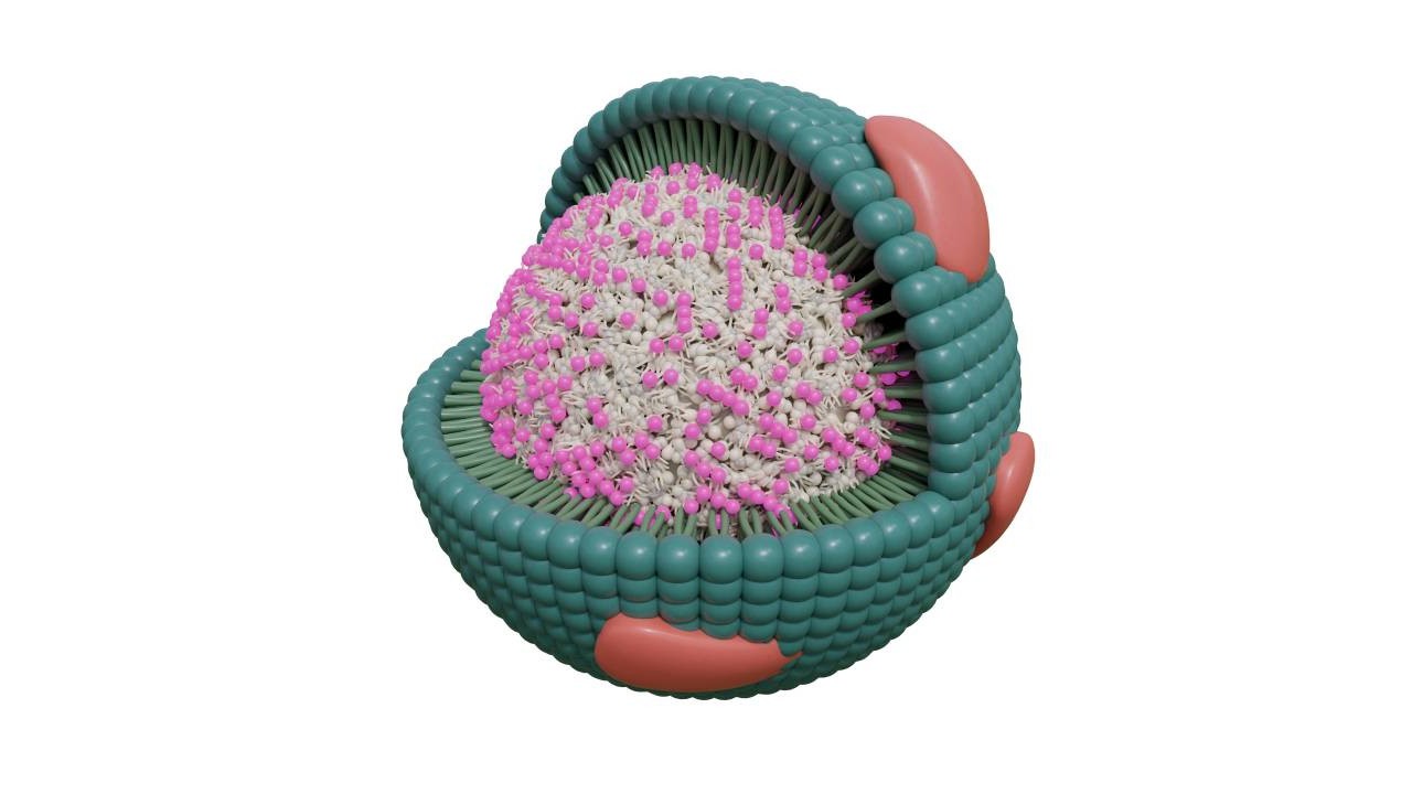 Lipoprotein Subclass Analysis | Cardiovascular Risk Assessment | Bruker