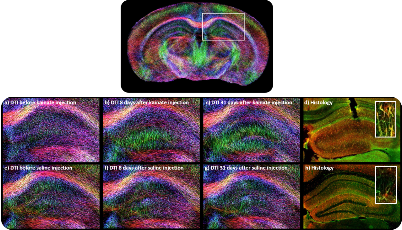 BioSpec 70/20 and 94/20 | Bruker