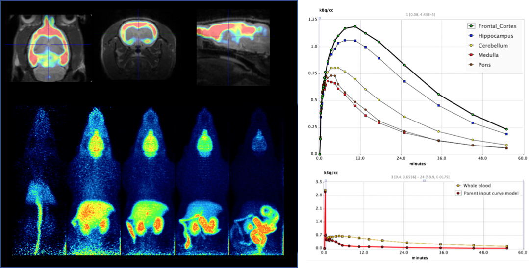 PET Insert | Positron Emission Tomography | Bruker