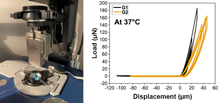 Hysitron BioSoft | Bruker