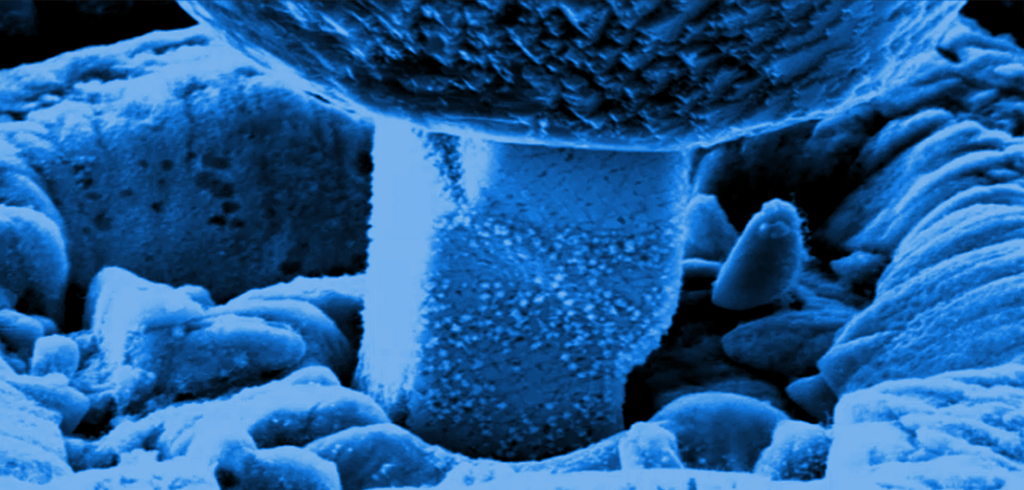 In Situ SEM Nanomechanics with Bruker’s PicoIndenter | Bruker