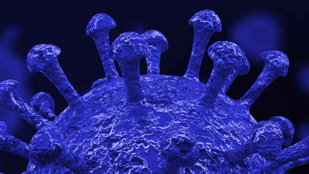 High Throughput Proteomics During A Pandemic Bruker