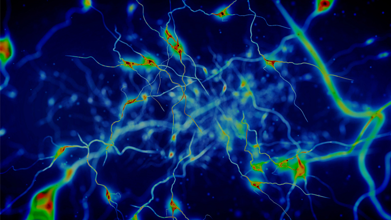 Nanoscopic Imaging of Neuroendocrine Regulatory Processes Using Super ...