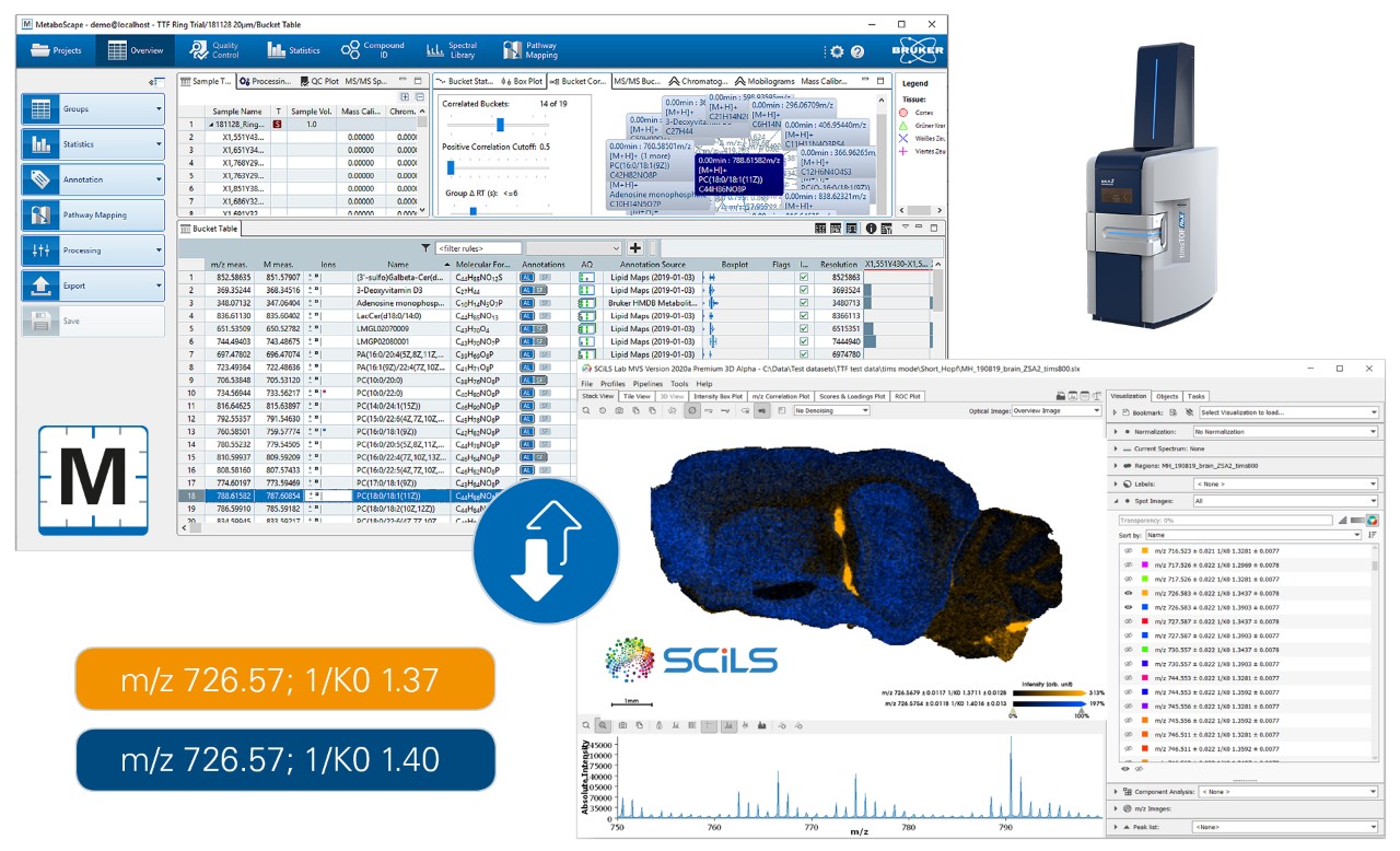 MetaboScape | Bruker