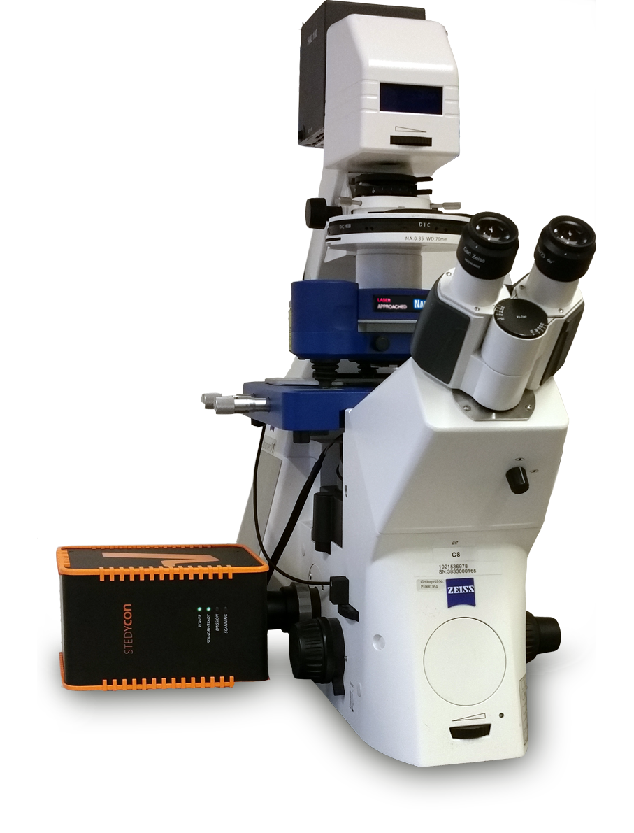Correlative AFM and STED Microscopy | Bruker