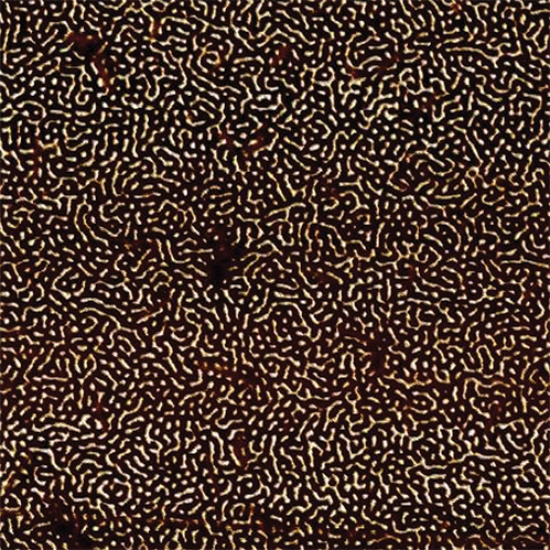 PhaseImaging Mode | Bruker