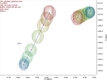 Lead Discovery and Optimization | Bruker