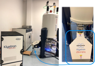 DNP-NMR | Dynamic Nuclear Polarization | Solid State NMR | Bruker
