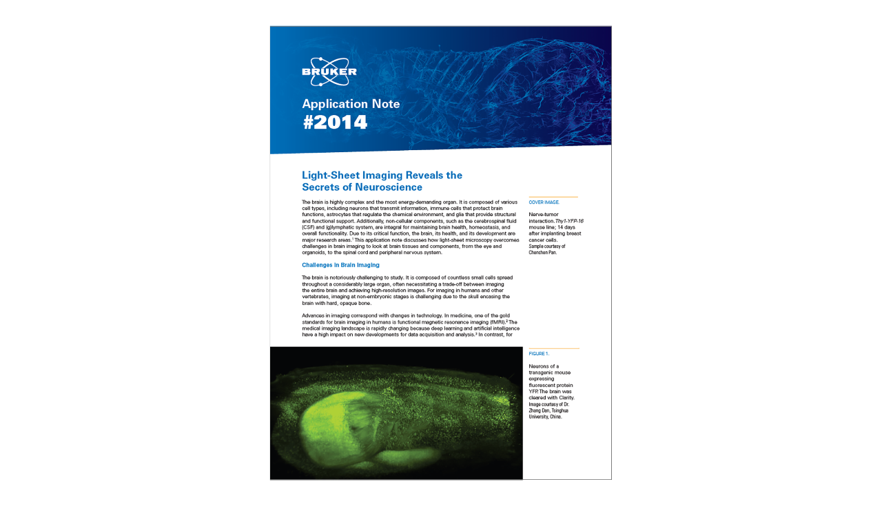 Application Note: Light-Sheet Imaging Reveals the Secrets of ...
