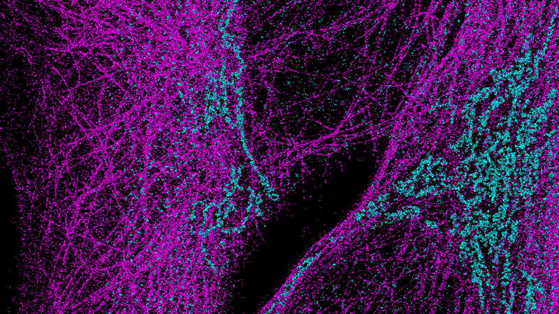 Advanced Two-Color Super-Resolution Microscopy with Photon Reassignment ...