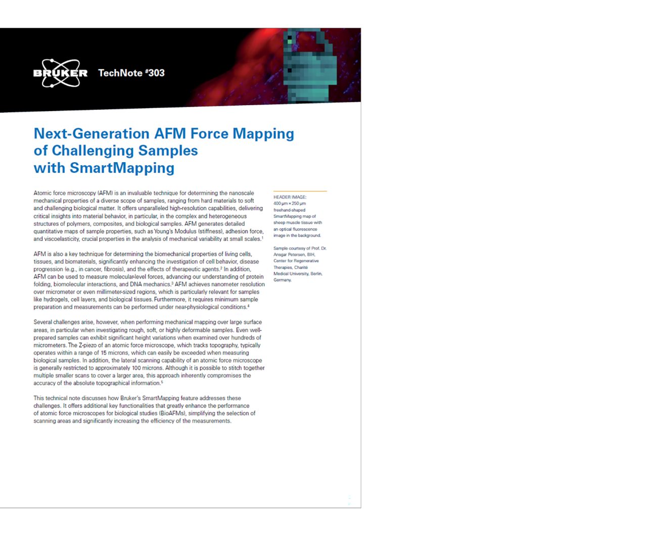 Tech Note: Next-Generation AFM Force Mapping of Challenging Samples ...