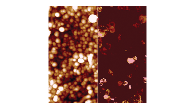 AFM Mode Electromagnetic | Bruker