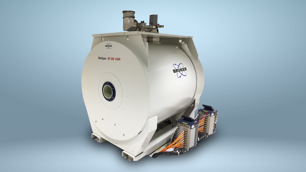 Ultra-High-Field MRI | Applications | Bruker