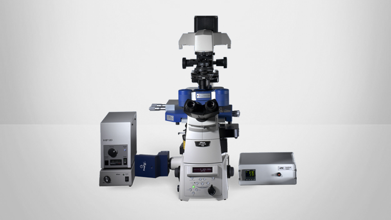 Cell-Cell and Cell-Surface Interactions | Bruker